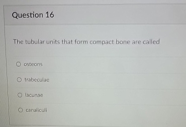 Solved Question 16The tubular units that form compact bone | Chegg.com