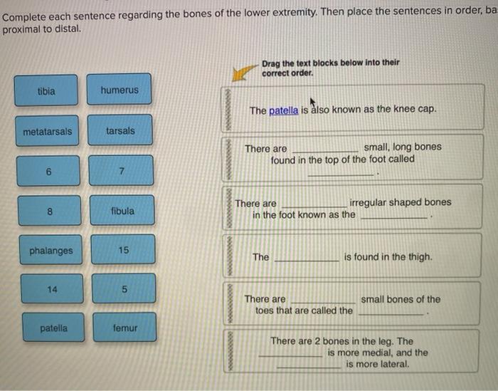 Solved Complete each sentence regarding the bones of the | Chegg.com