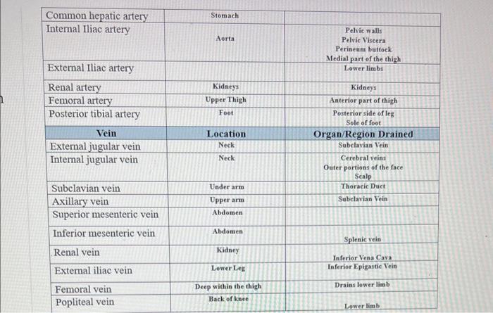 Solved Table 1: Major Arteries \& Veins | Chegg.com