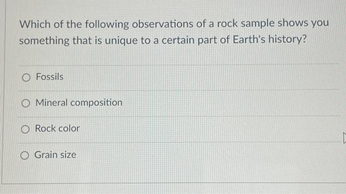 Solved Which of the following observations of a rock sample | Chegg.com