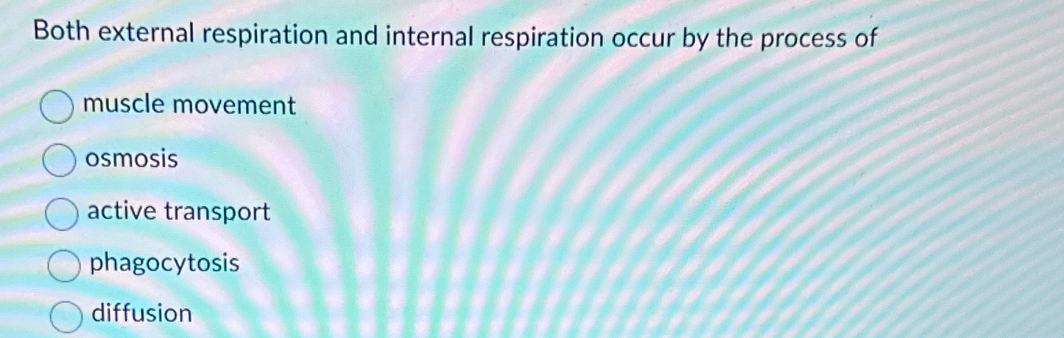Solved Both external respiration and internal respiration | Chegg.com