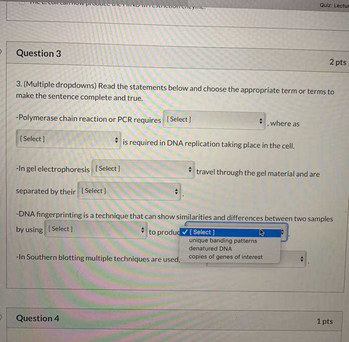 Solved Question 3 3.(Multiple dropdowns) Read the statements | Chegg.com Solved Question 3 3.(Multiple dropdowns) Read the statements | Chegg.com