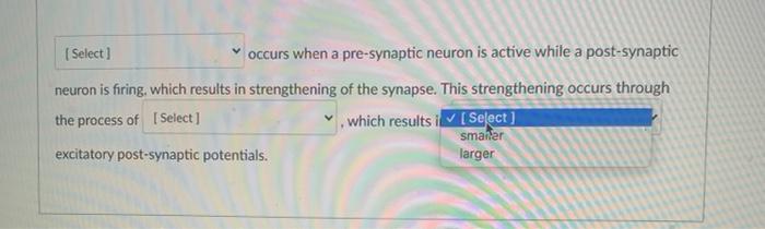 Solved [Select) Synaptic pruning Hebbian learning occurs | Chegg.com