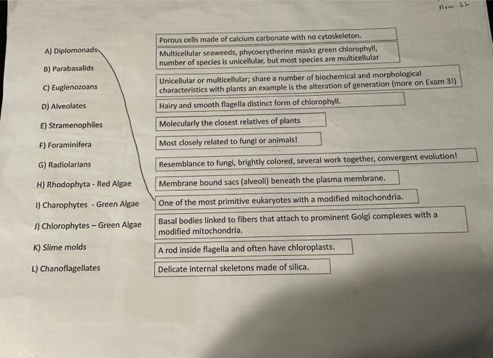 Solved A) Diplomonads B) Parabasalids c) Euglenozoans D) | Chegg.com