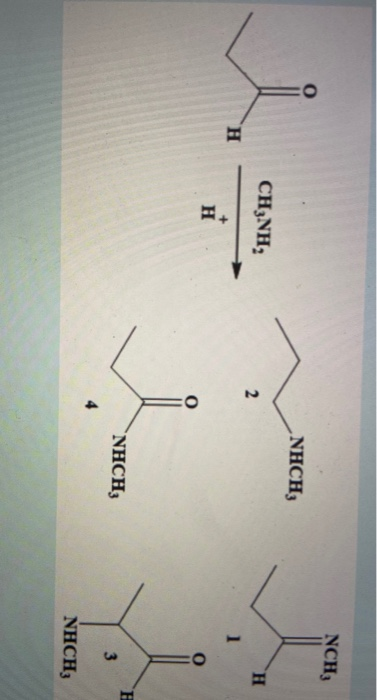 Solved NCH NHCH CHÚNH, 2 H H 1 H F NHCH3 3 NHCH3 | Chegg.com