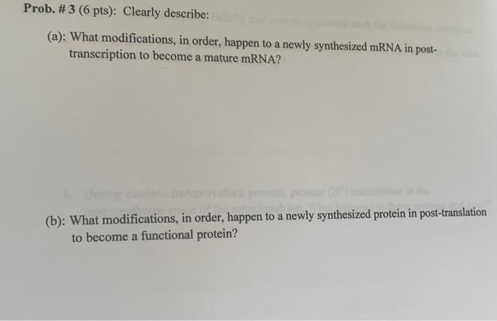 Solved Prob. #3 (6 pts): Clearly describe: (a): What | Chegg.com Solved Prob. #3 (6 pts): Clearly describe: (a): What | Chegg.com