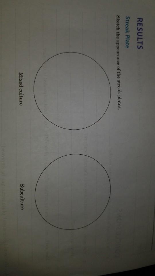 Solved RESULTS Streak Plate Sketch the appearance of the | Chegg.com