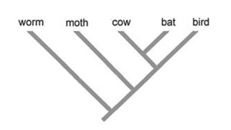 Solved draw a horizontal line to indicate where the trait | Chegg.com