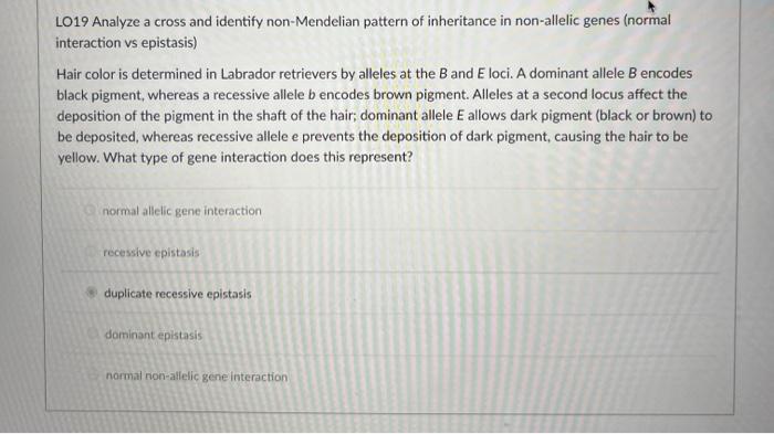 Solved LO19 Analyze a cross and identify non-Mendelian | Chegg.com