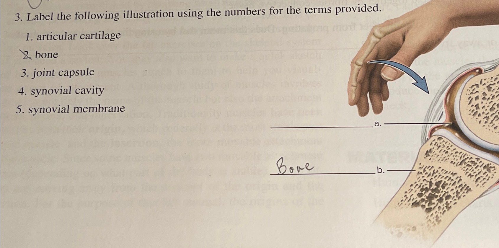 Solved Label the following illustration using the numbers | Chegg.com