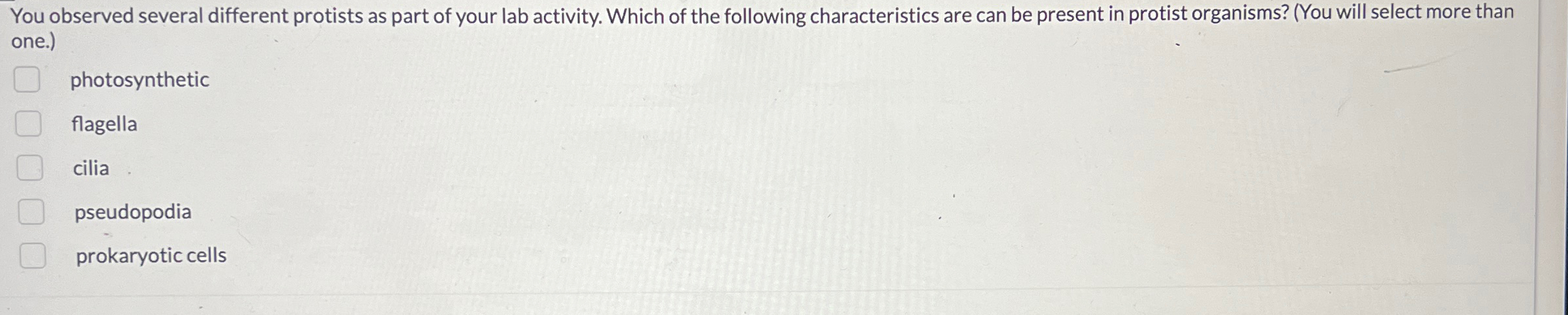 Solved You observed several different protists as part of | Chegg.com
