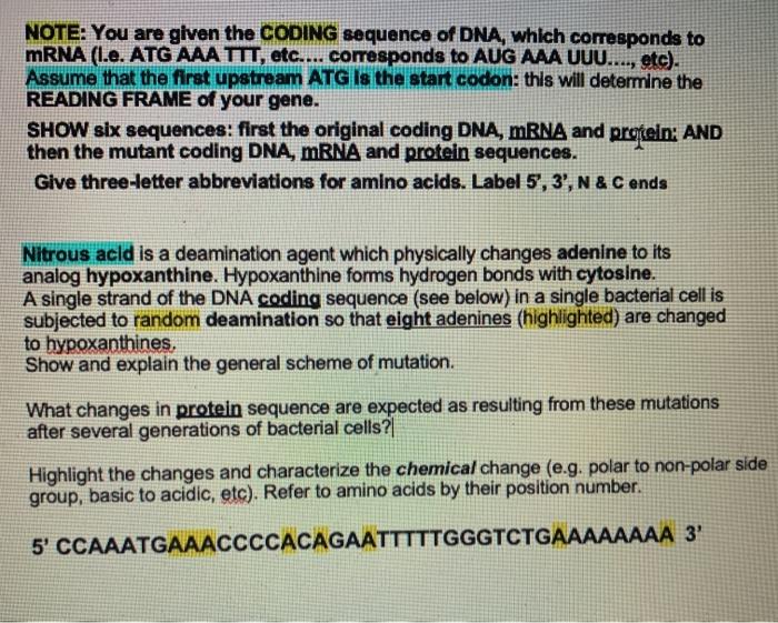 Solved NOTE: You are given the CODING sequence of DNA, which | Chegg.com