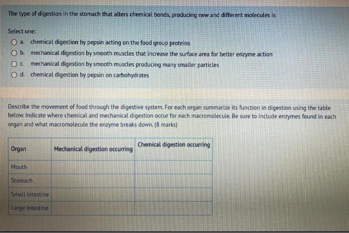 Solved Match Each Macromolecule With The Enzyme That Aids In
