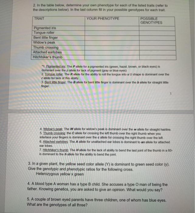 Solved 2. In the table below, determine your own phenotype | Chegg.com