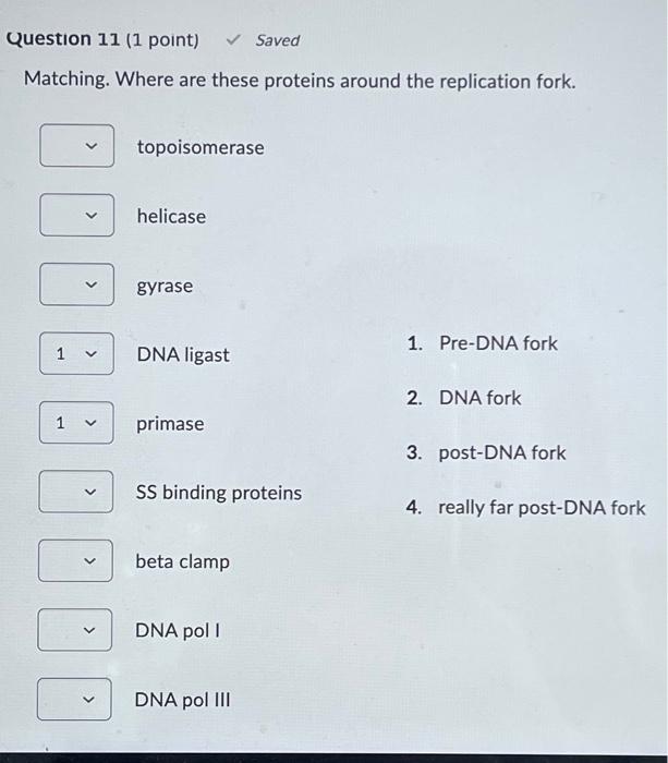 Solved Question 11 ( 1 point) Saved Matching. Where are | Chegg.com