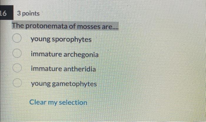 Solved The protonemata of mosses are.... young sporophytes | Chegg.com
