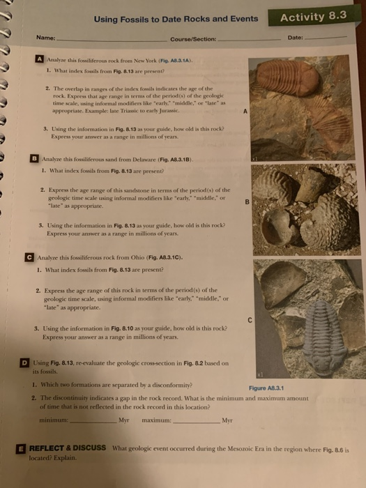 Solved Using Fossils To Date Rocks And Events Activity 83 7764