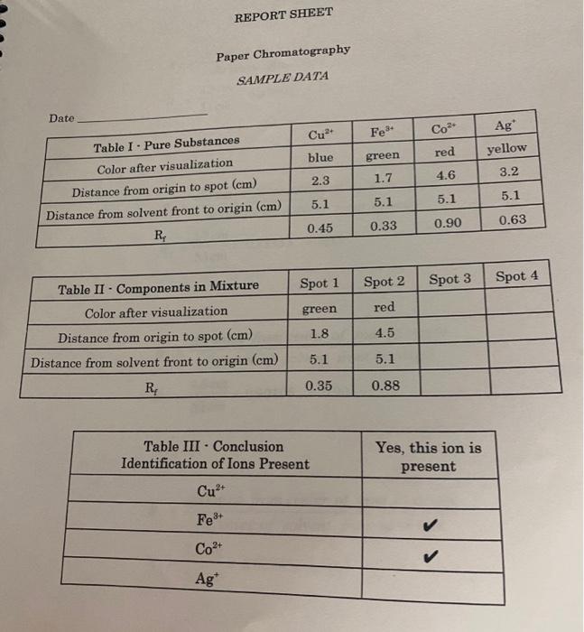 based on the SAMPLE report sheet / the SAMPLE | Chegg.com