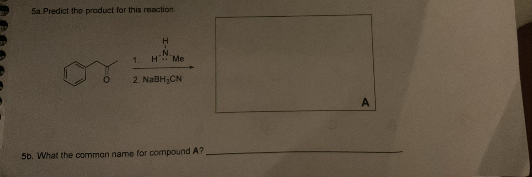 Solved 5a. ﻿Predict the product for this reaction:5b. ﻿What | Chegg.com