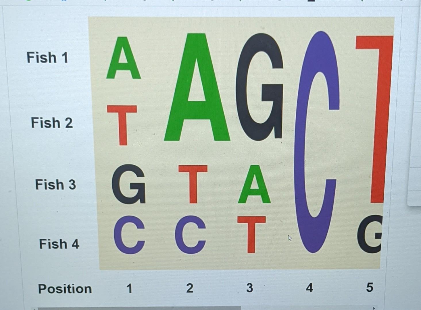 Solved Fish 1 Fish 2 Fish 3 Fish 4 Position 1 2 3 4 | Chegg.com