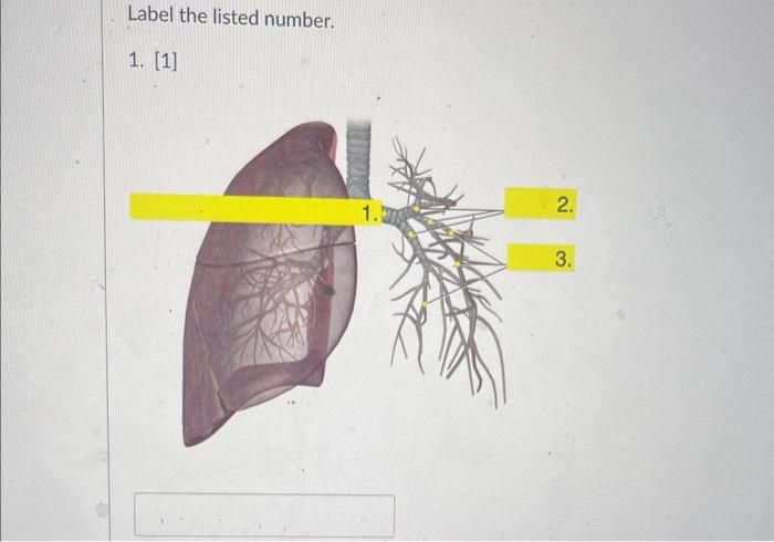Solved Label the listed number. Label the listed number. 1. | Chegg.com