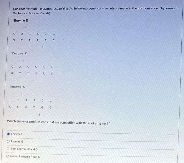 Solved Consider restriction enzymes recognizing the | Chegg.com