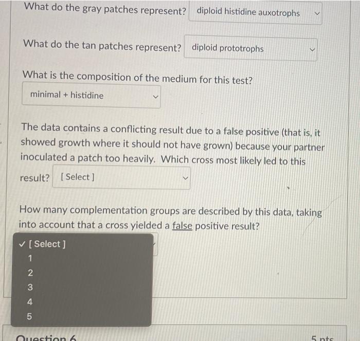 Solved You and your lab partner performed a complementation | Chegg.com