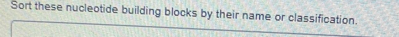 Sort these nucleotide building blocks by their name | Chegg.com