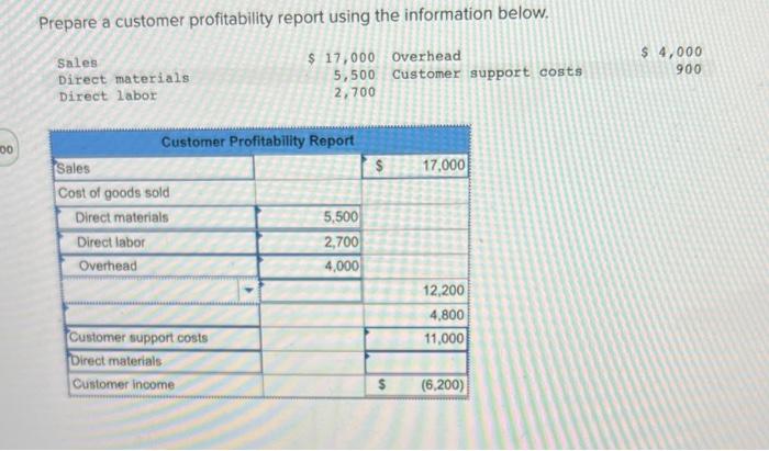 Solved Prepare a customer profitability report using the | Chegg.com