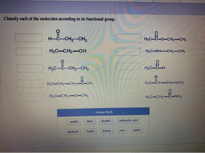 Solved Classify each of the molecules according to its | Chegg.com