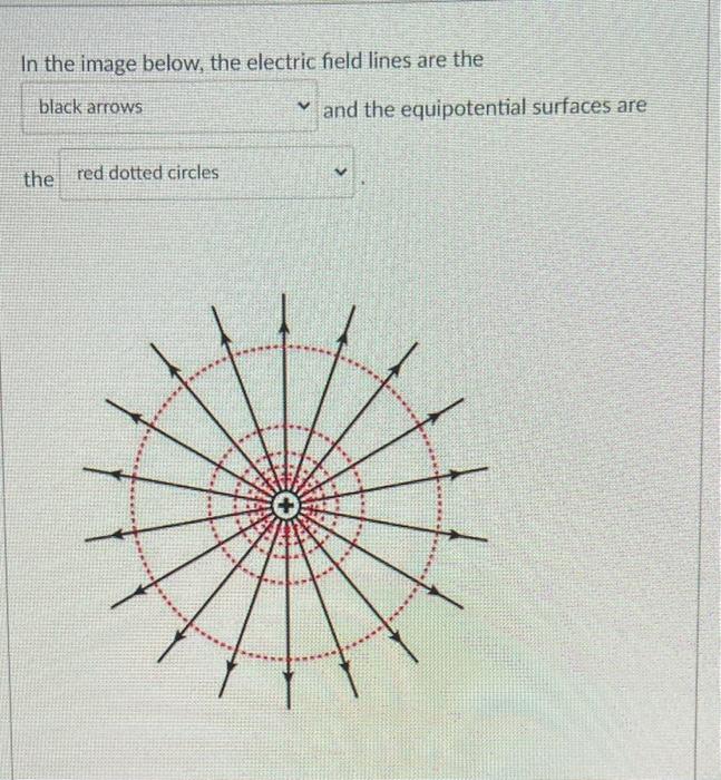 In the process of mapping the electric field we will | Chegg.com