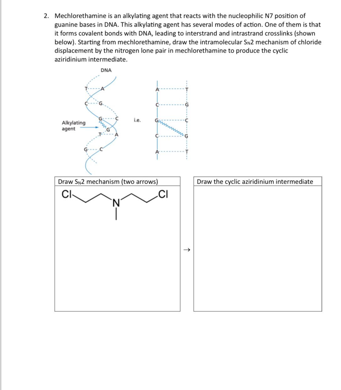 Solved Mechlorethamine is an alkylating agent that reacts | Chegg.com