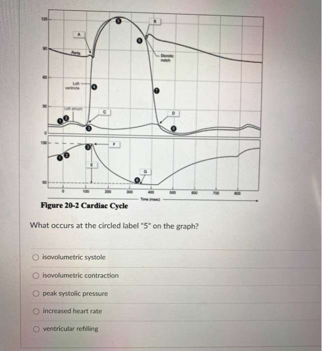 Solved 120 O 130 100 200 300 500 8H 700 800 Figure 20-2 | Chegg.com