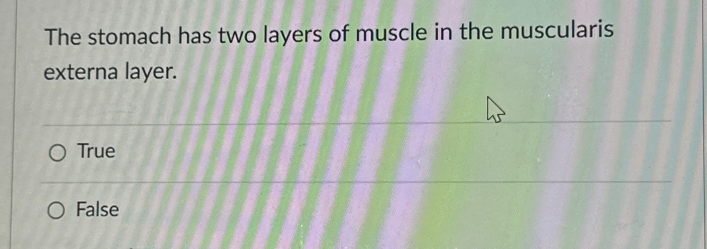 Solved The stomach has two layers of muscle in the | Chegg.com
