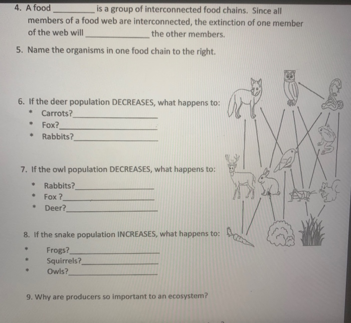 Solved 4. A food is a group of interconnected food chains. | Chegg.com