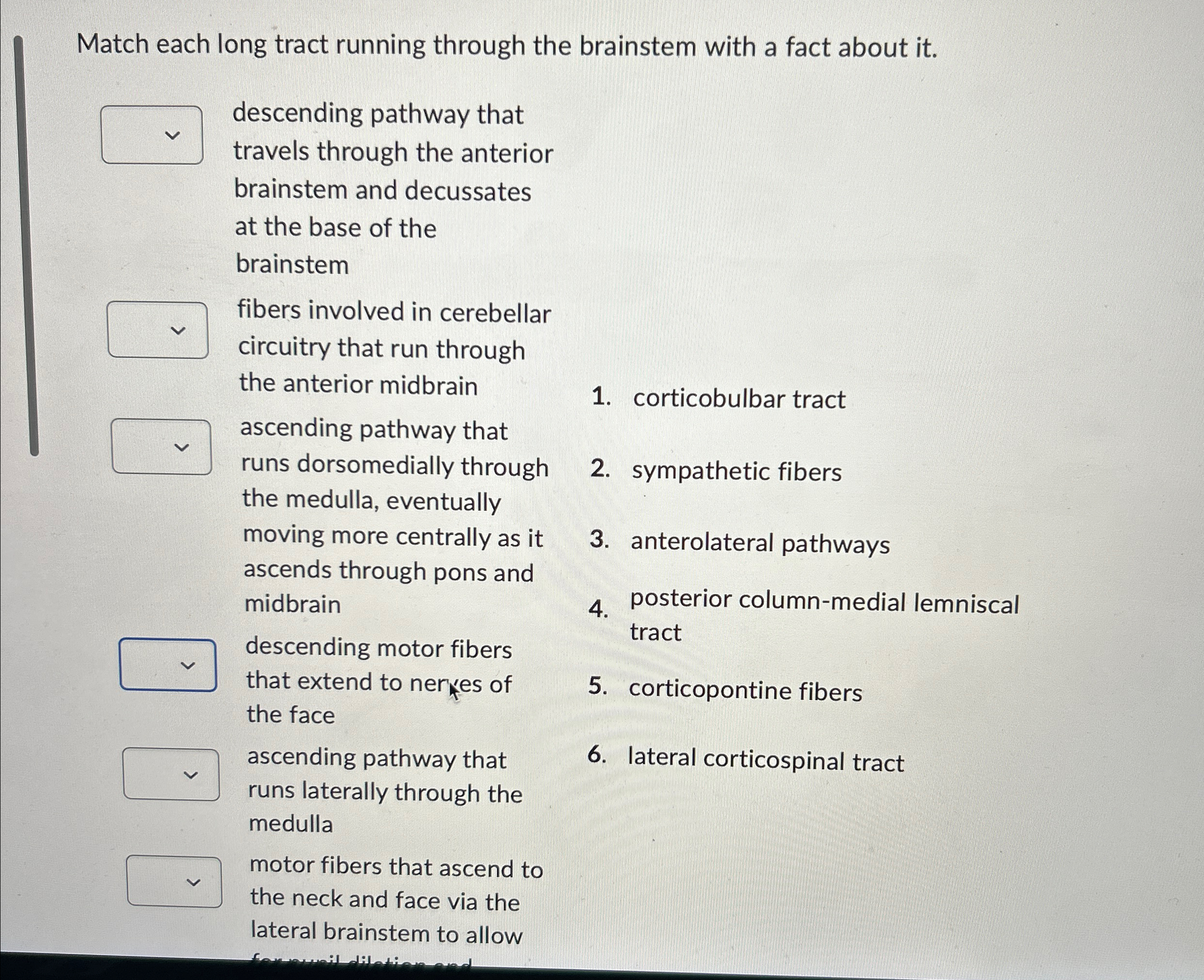 Solved Match each long tract running through the brainstem | Chegg.com