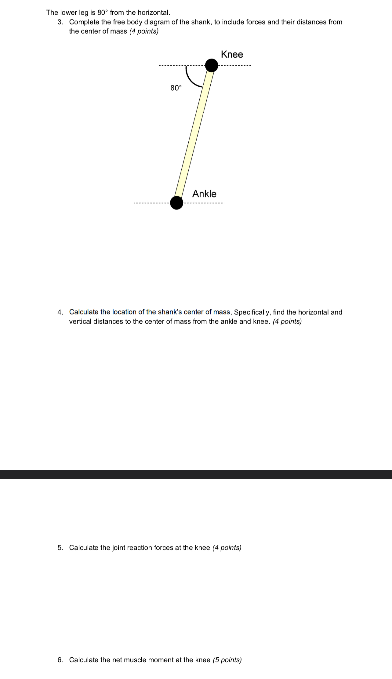 Solved The foot is ﻿parallel with the floor, and | Chegg.com