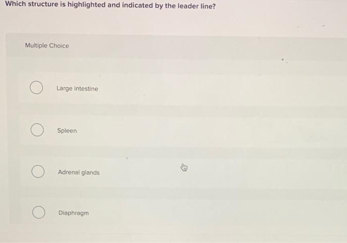 Solved Which structure is highlighted and indicated by the | Chegg.com