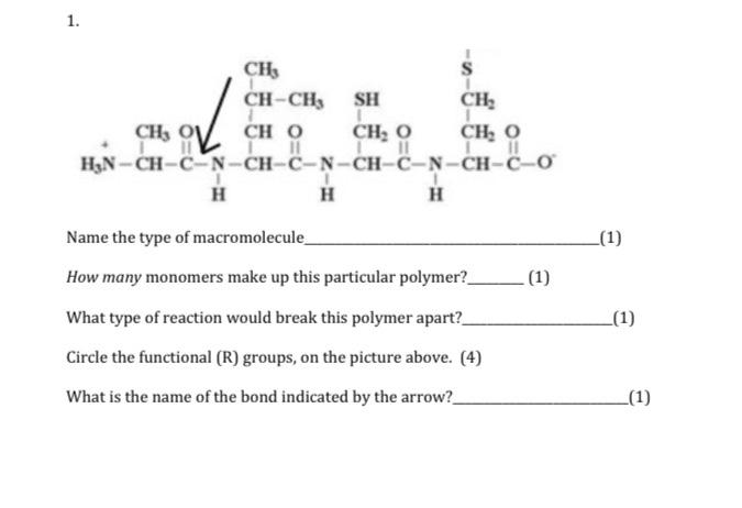Solved Name the type of macromolecule How many monomers make | Chegg.com