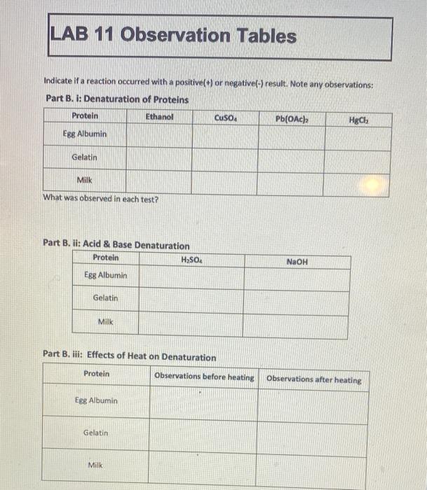 Solved LAB 11 Observation Tables Indicate if a reaction | Chegg.com