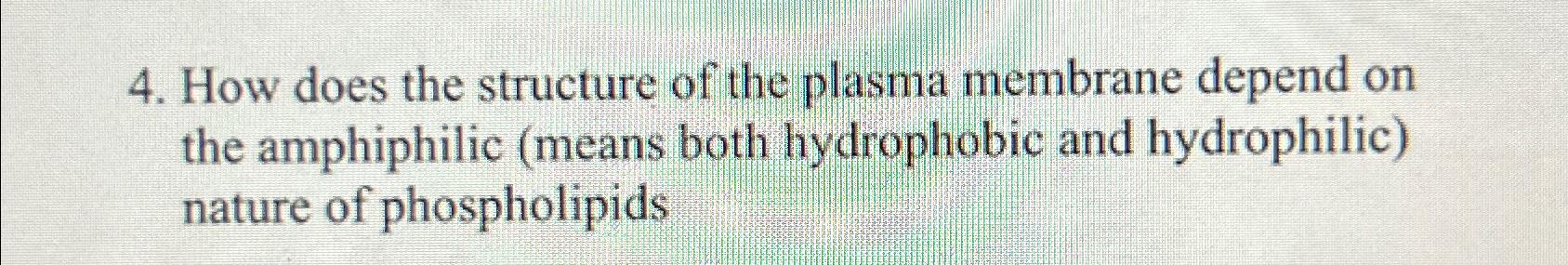 Solved How does the structure of the plasma membrane depend | Chegg.com