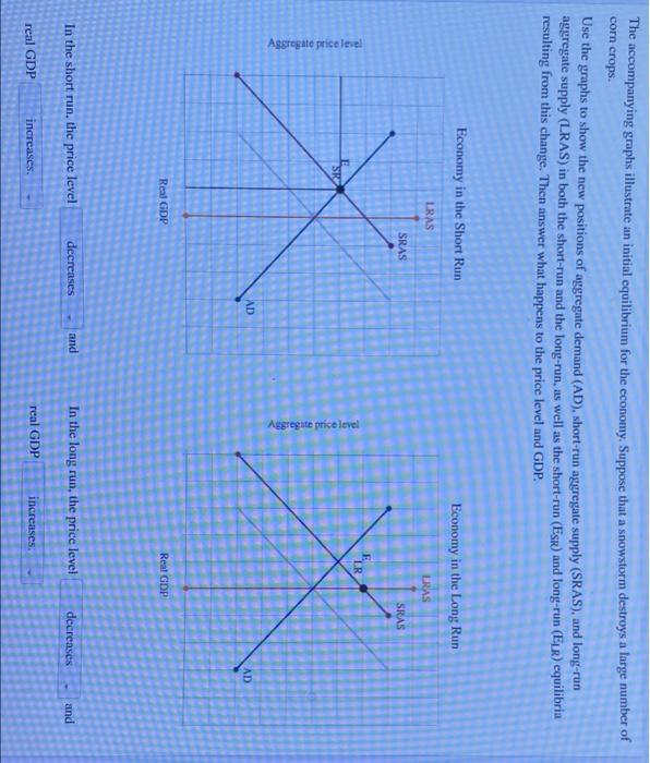 Solved The accompanying graphs illustrate an initial | Chegg.com