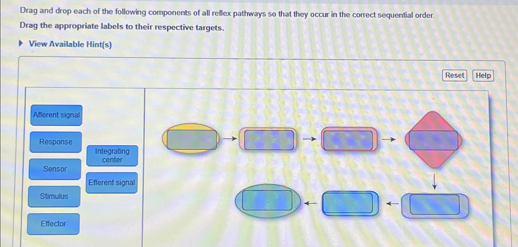 Solved Drag and drop each of the following components of all | Chegg.com