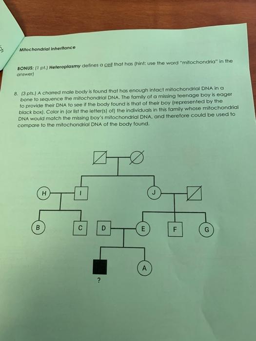Solved 국 Mitochondrial inheritance BONUS://pt.) Heteroplasmy | Chegg.com
