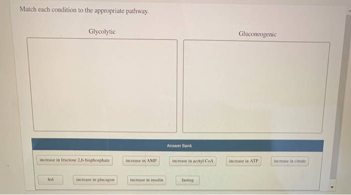 Solved Match each condition to the appropriate pathway | Chegg.com