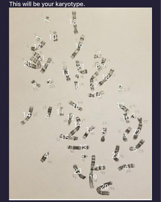 Solved for figure 10.9 do its karyotype (an example of whats | Chegg.com