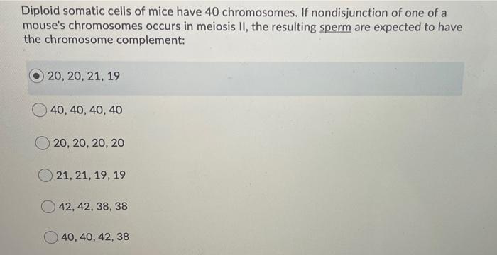 Solved Diploid somatic cells of mice have 40 chromosomes. If | Chegg.com