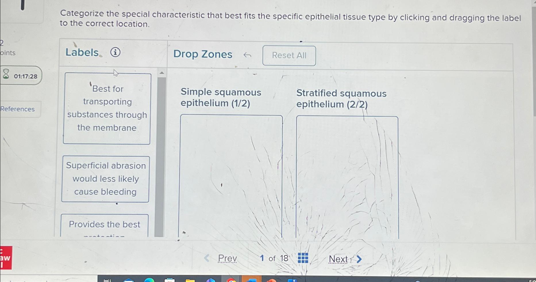 Solved Categorize the special characteristic that best fits | Chegg.com Solved Categorize the special characteristic that best fits | Chegg.com