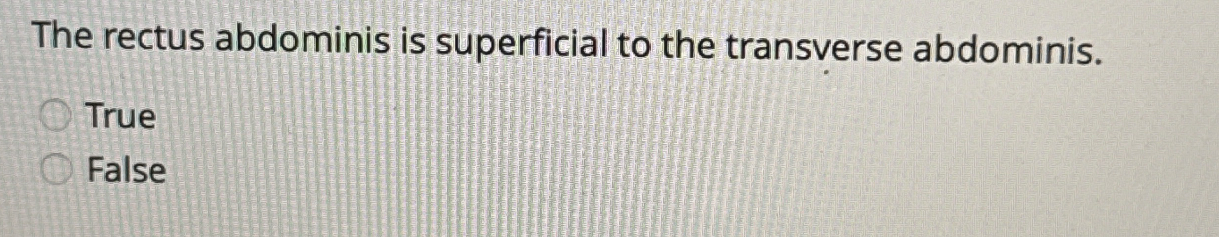 Solved The rectus abdominis is superficial to the transverse | Chegg.com