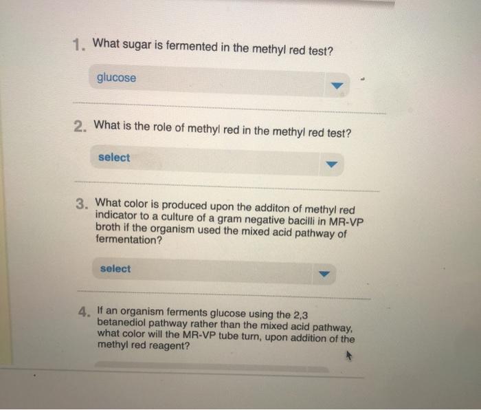 Solved 1. What sugar is fermented in the methyl red test? | Chegg.com
